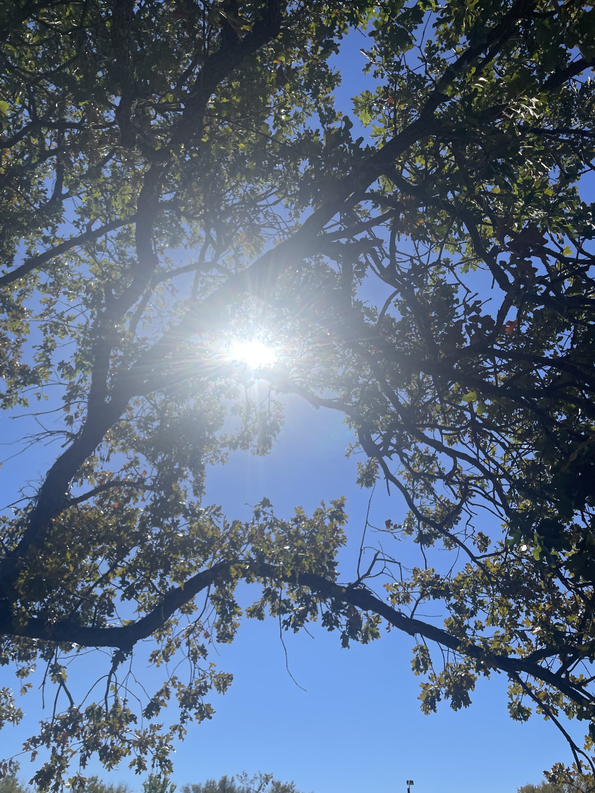 Brett Mathew Ivers | Pawnee Nation